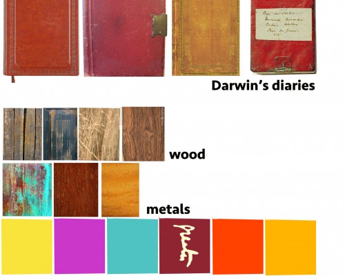 darwin notebooks materials and reference